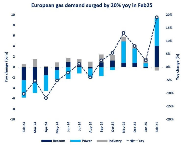 European gas demand surged by 20% in February | European Gas Hub